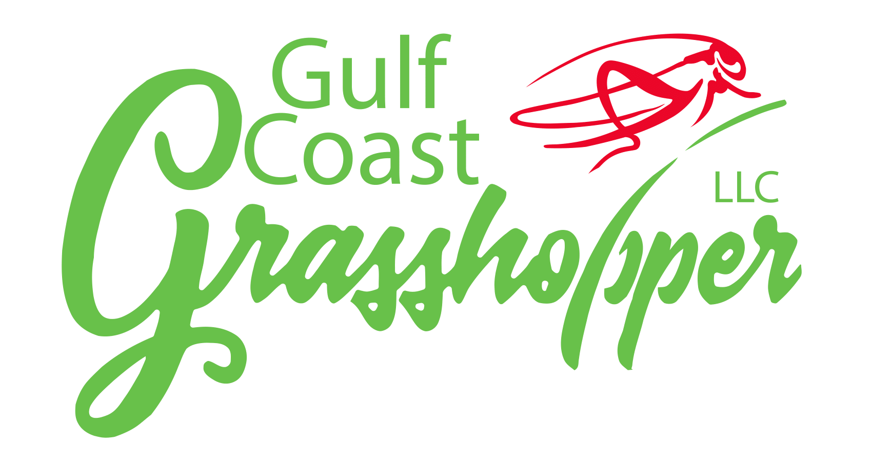Gulf Coast Grasshopper-1 3 | welcome